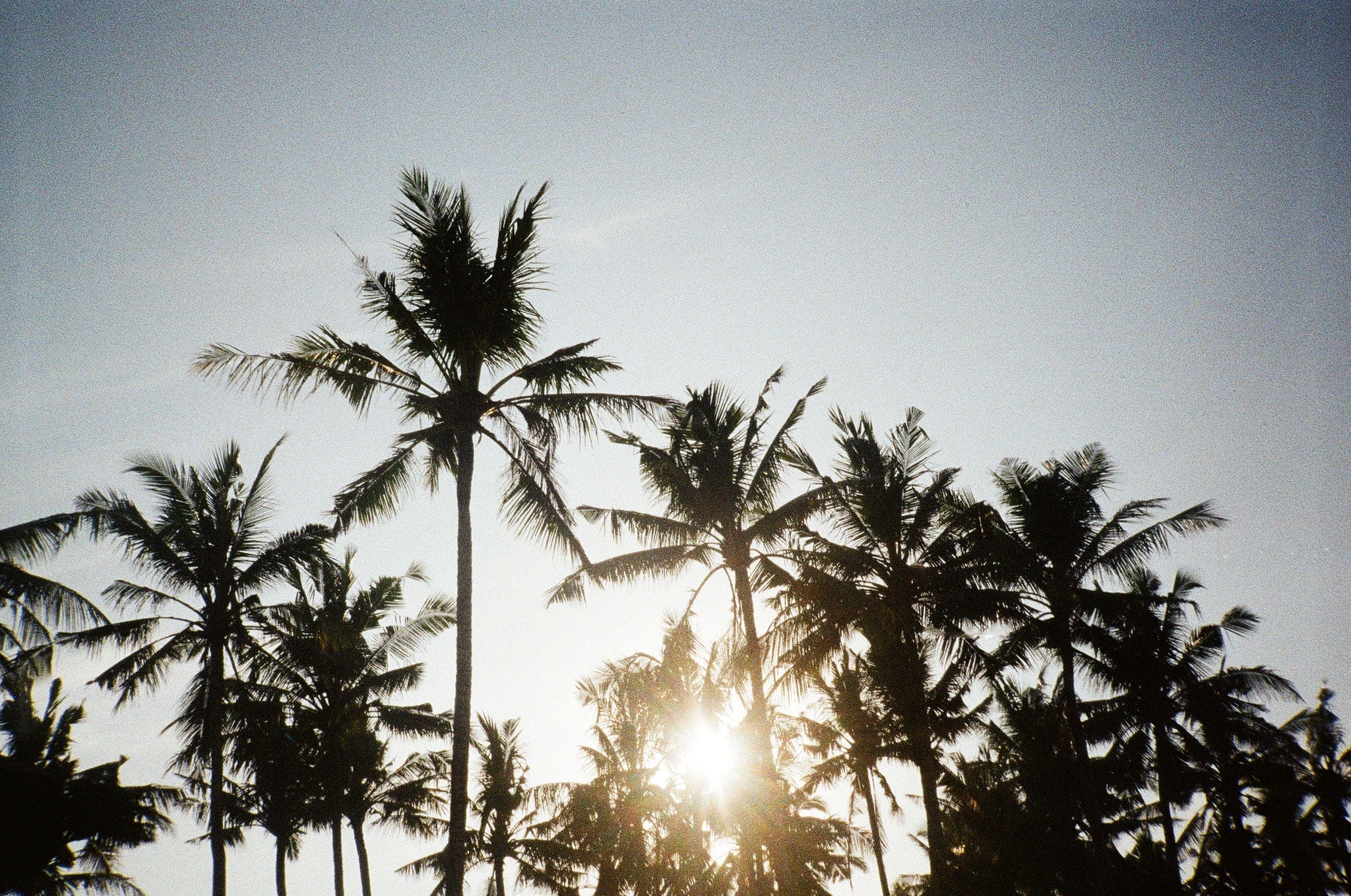 Shop Prints – Ethos Common