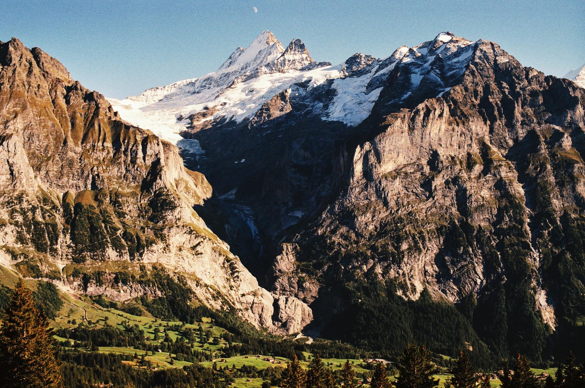 Nat Lanyon | Ethos Common