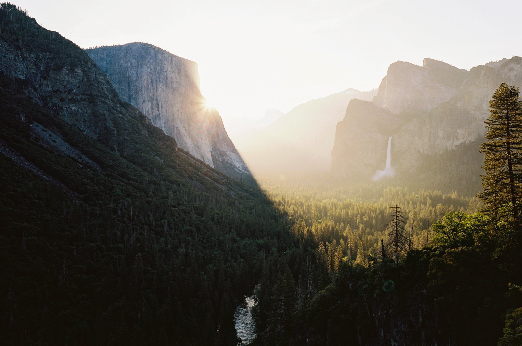 Tom Irwin | Ethos Common