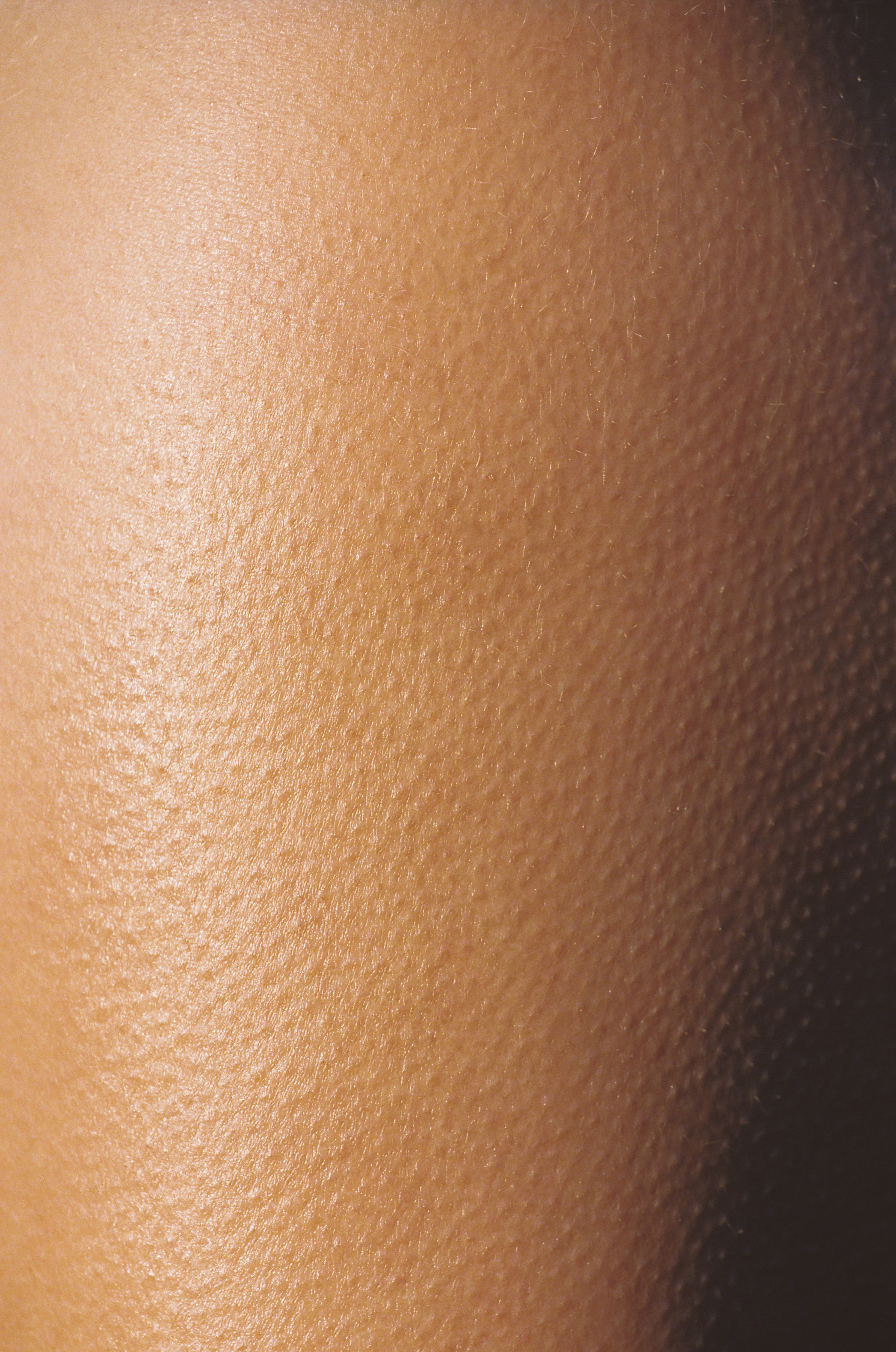 In The Flesh - Australia, Brooke Davies | Ethos Common