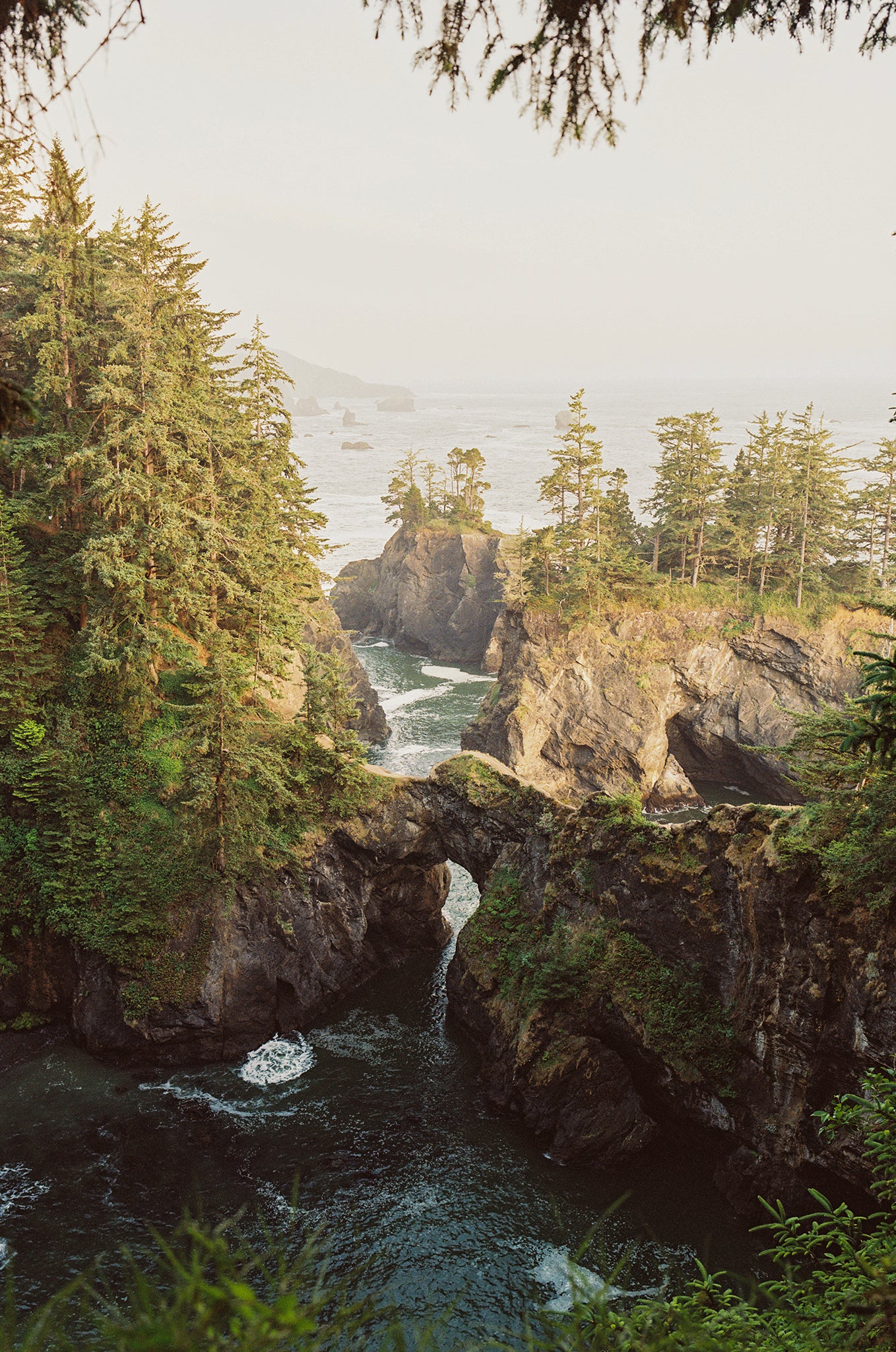 Sunsets On The Coast - Oregon, Tom Irwin | Ethos Common
