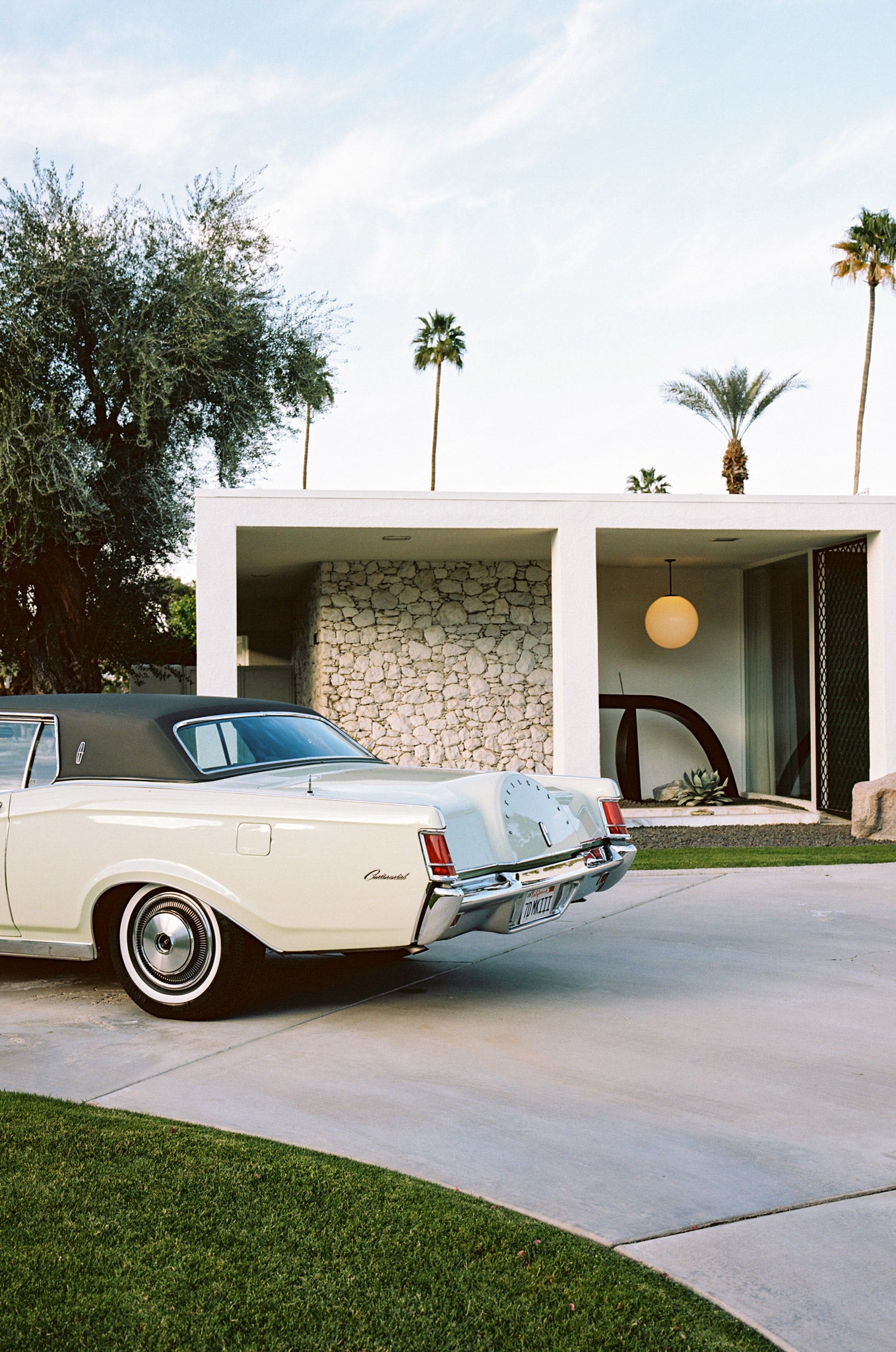 Ivory - California, Tom Irwin | Ethos Common