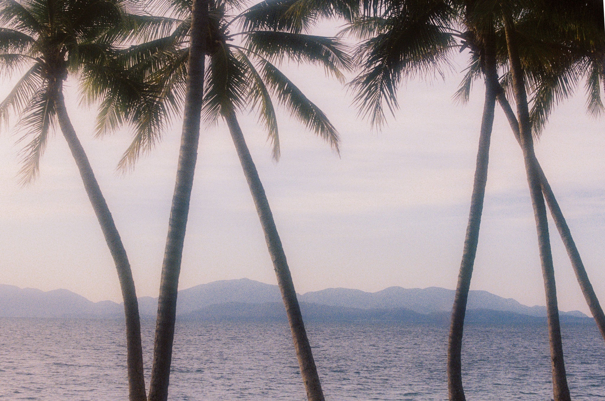 Brooke Davies | Ethos Common