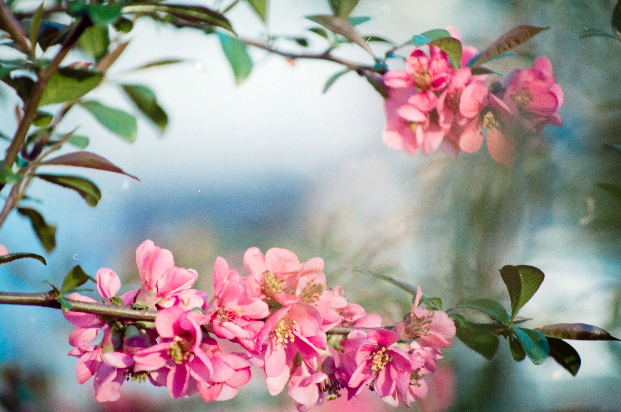 Landscape Photography - Mountains & Nature | Ethos Common