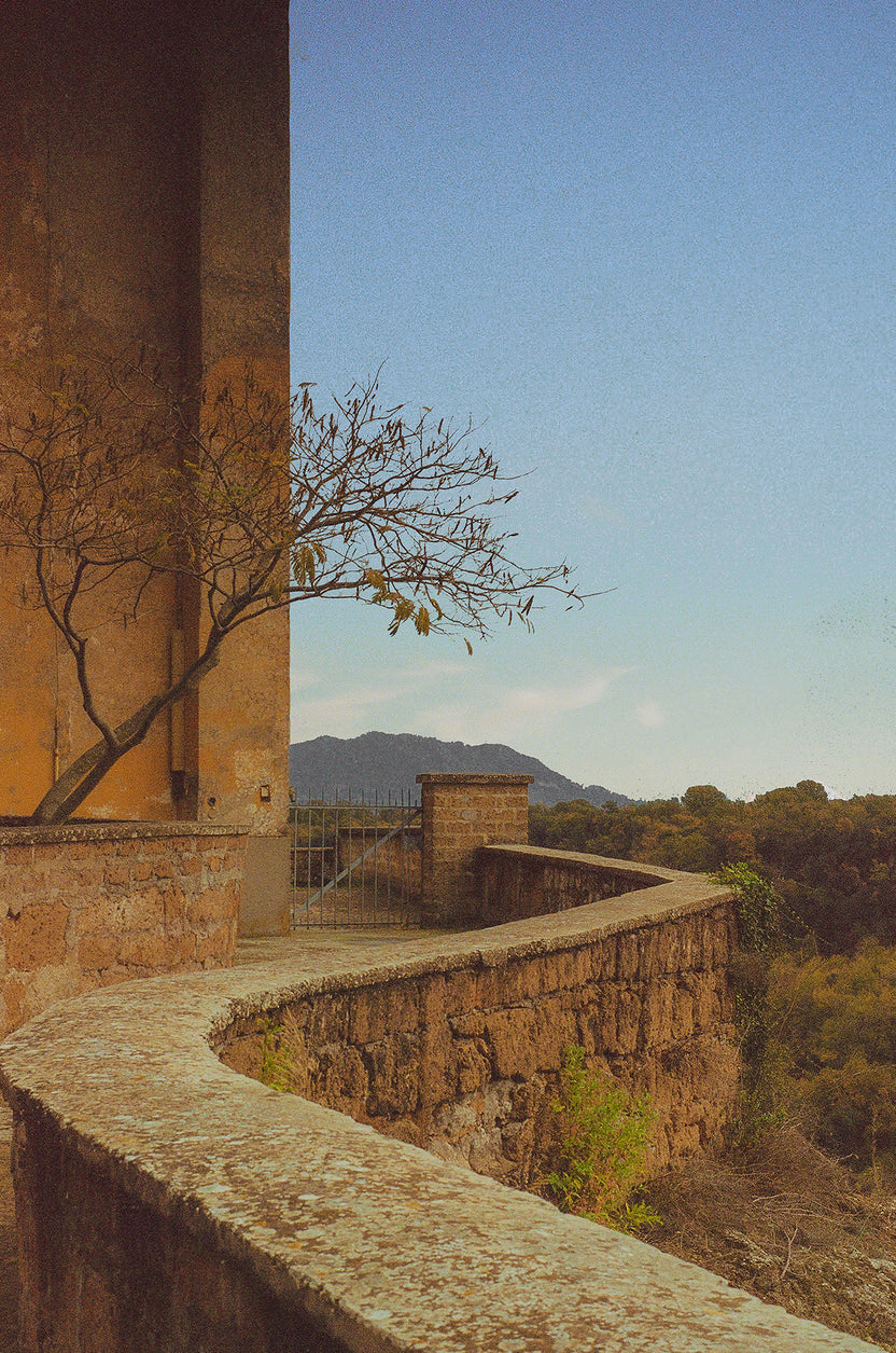 Shop Film Photography Prints Online | Ethos Common