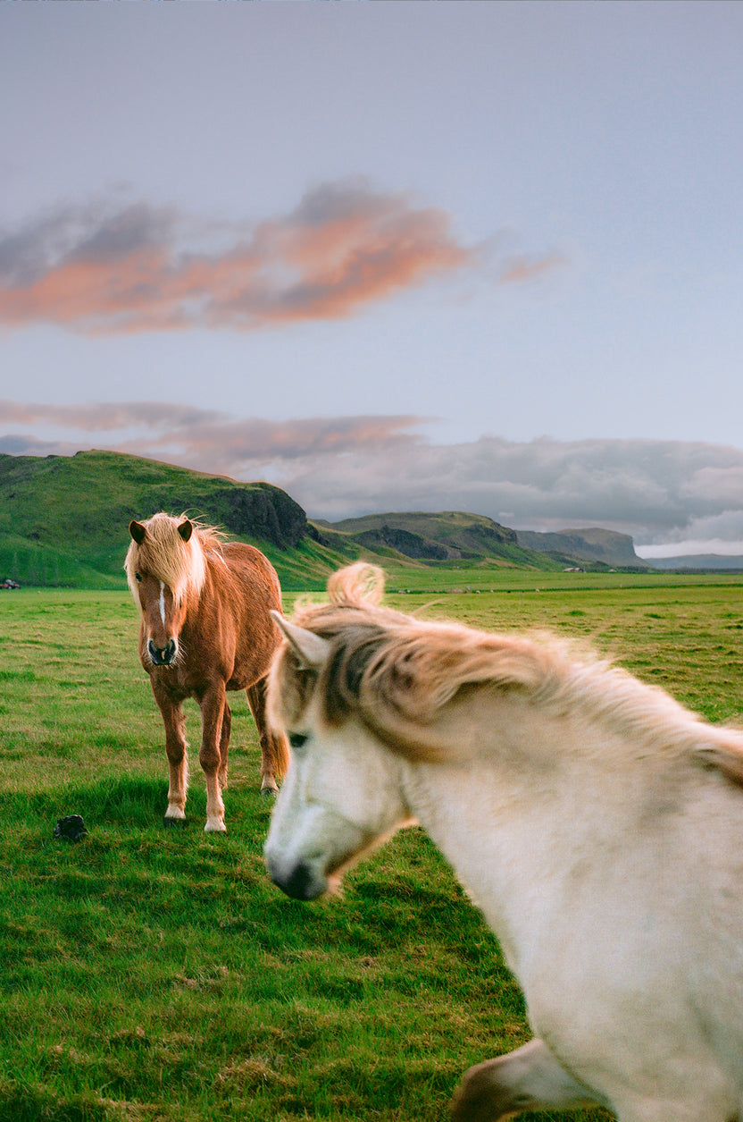 Shop Film Photography Prints Online | Ethos Common