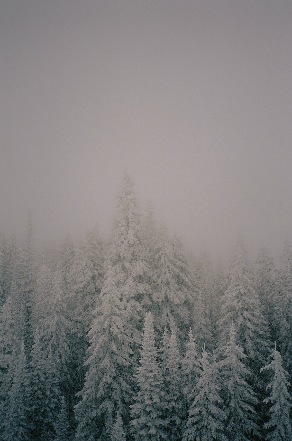 Shop Film Photography Prints Online | Ethos Common