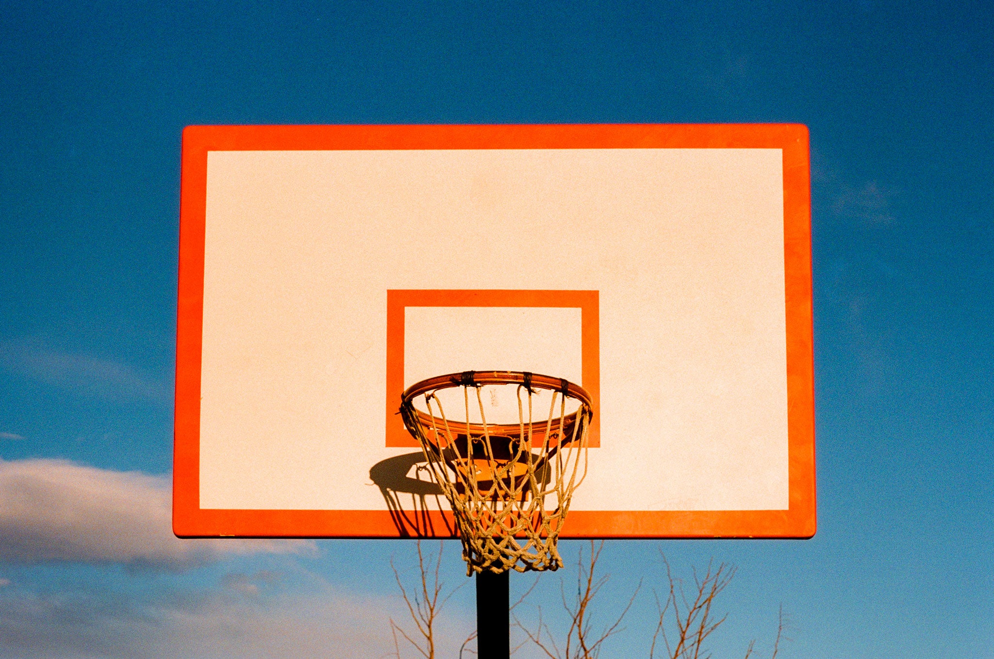 Hoops - California, Daniel M. Petersen | Ethos Common