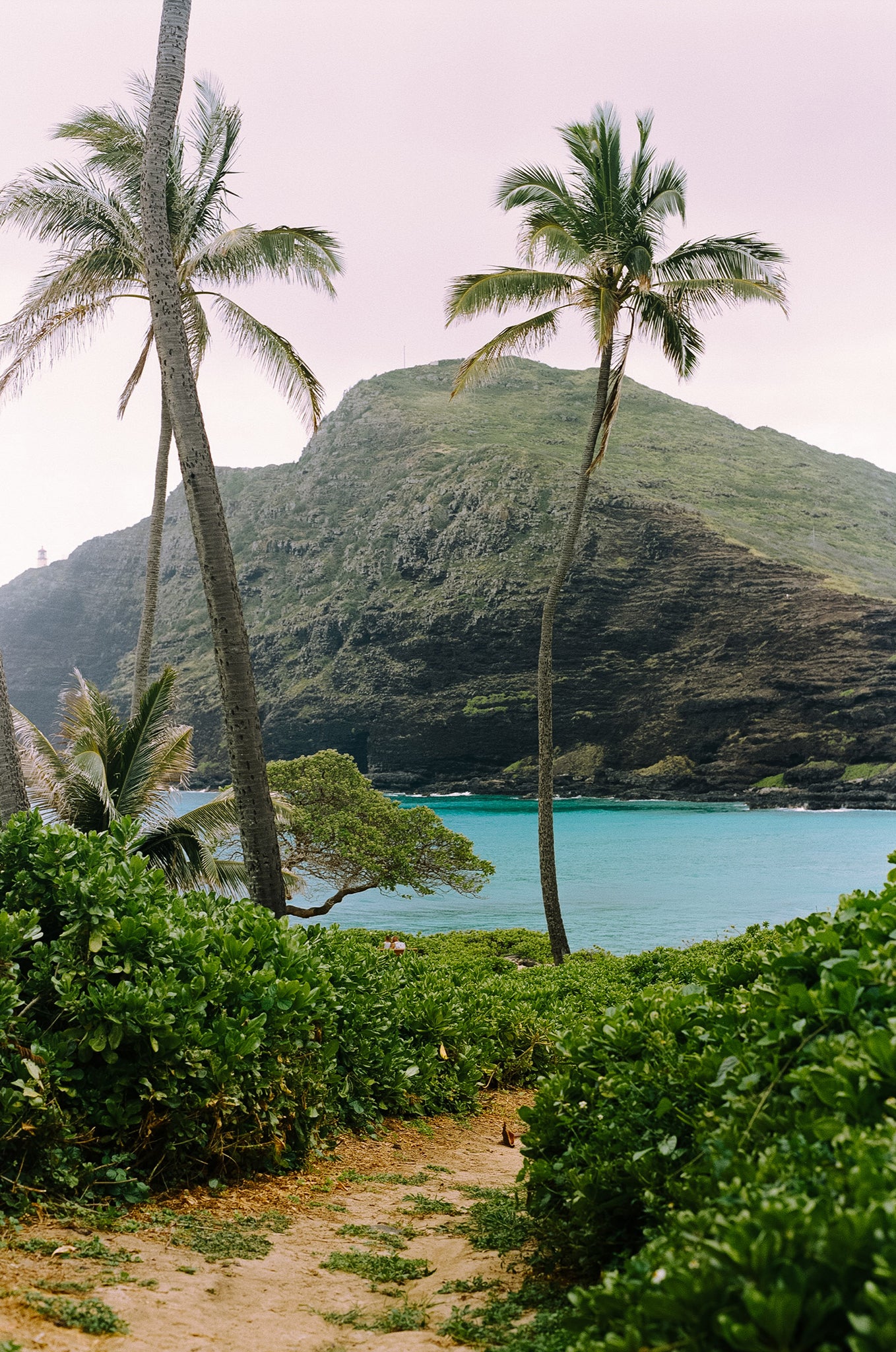 A Hui Hou - Hawaii, Hunter Gawne | Ethos Common