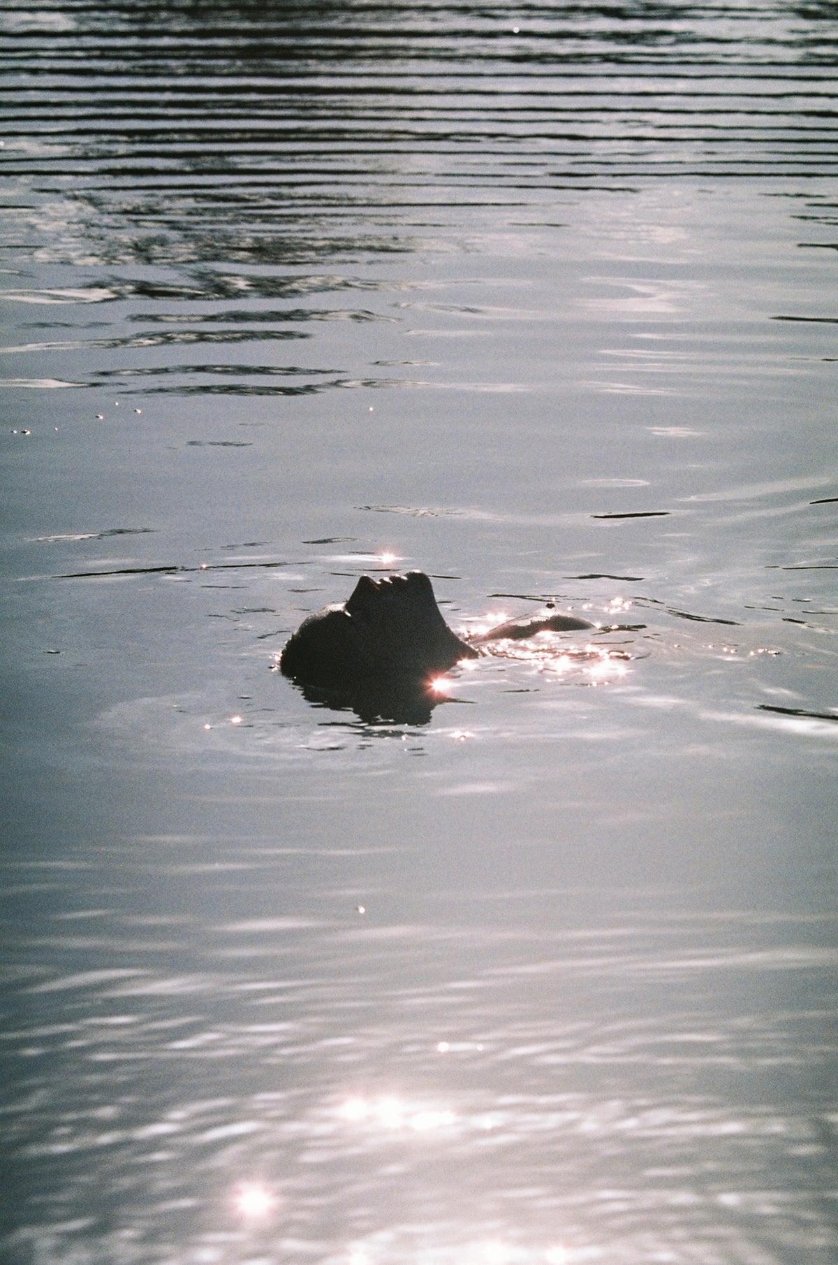 Shop Film Photography Prints Online | Ethos Common