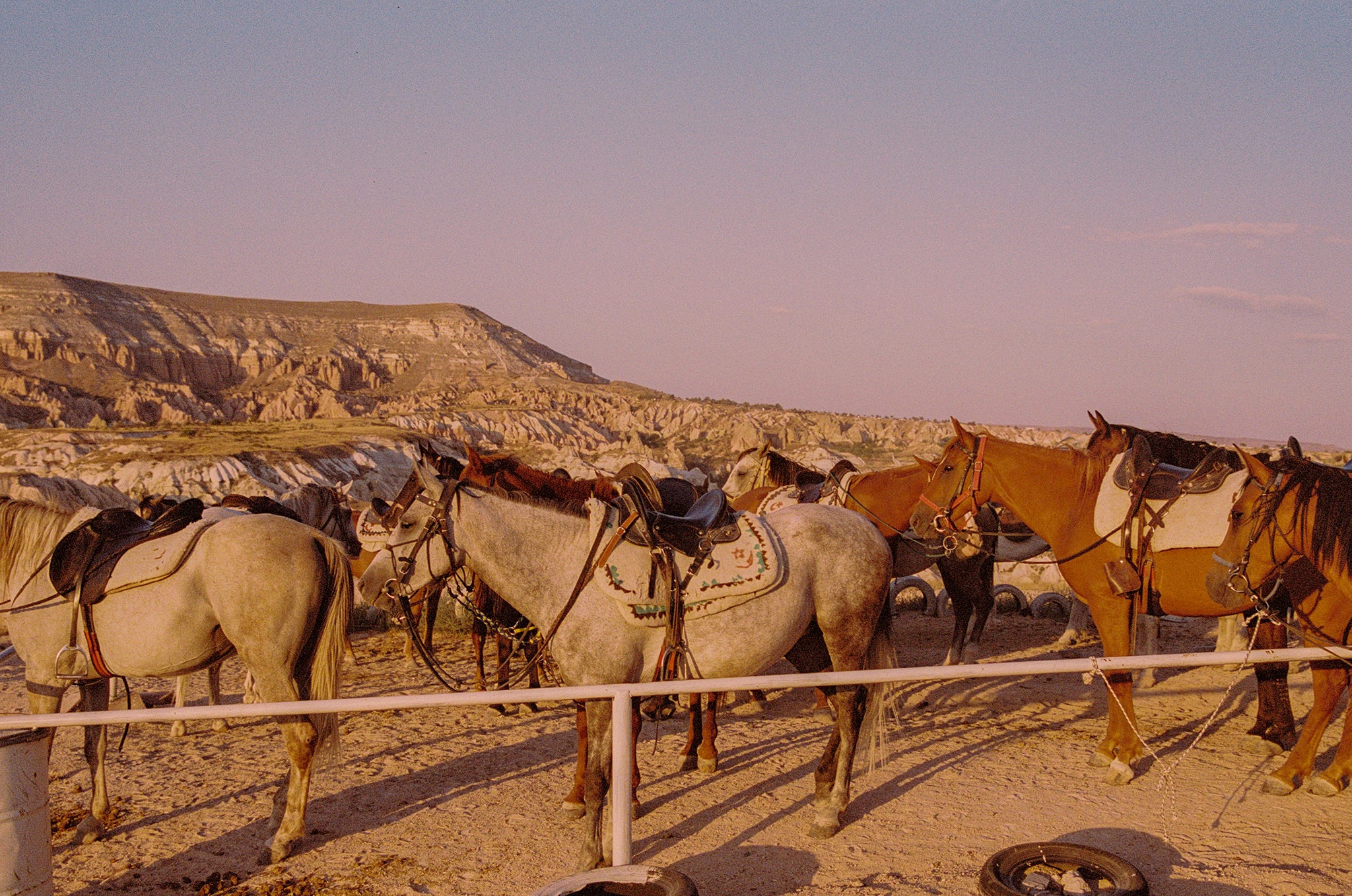 Whiskey and Wildflowers - Turkey, Alex Van Kampen | Ethos Common